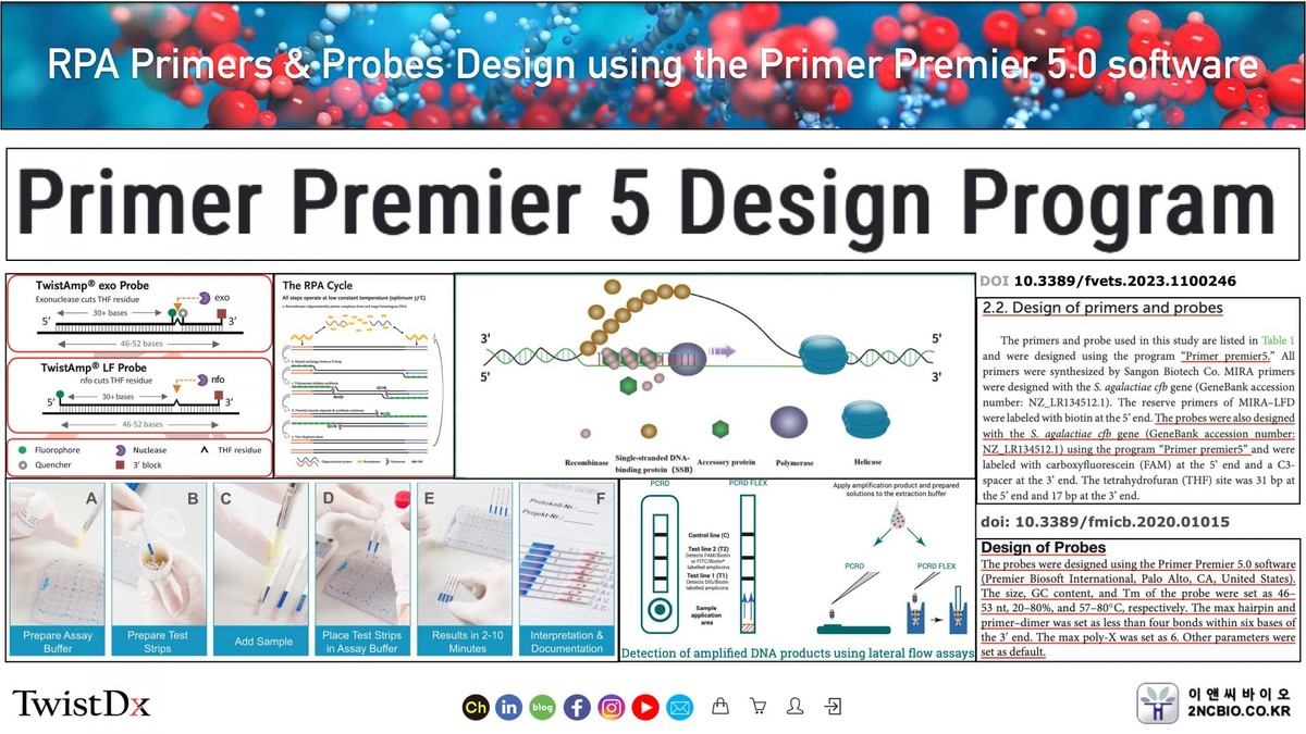 RPA primers & Probes 디자인 및 합성 서비스를 제공합니다. : Recomninase Polymerase ...