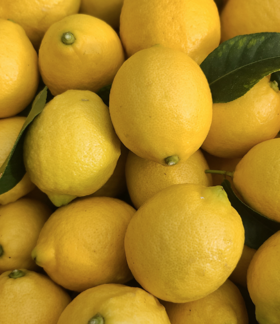 제주레몬팜 | Jeju Lemon Farm