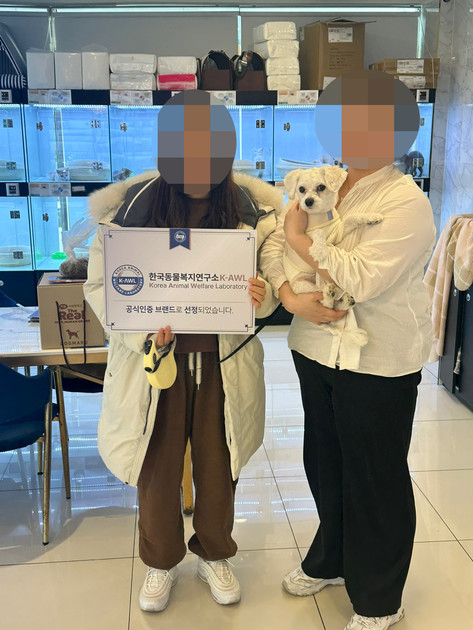 말티푸 태풍 닥스훈트무료입양사이트 도베르만무료입양사이트 말티치무료입양사이트 말티폼무료입양사이트 보더콜리무료입양사이트 프렌치불독무료입양사이트 빠삐용무료입양사이트 파피용무료입양