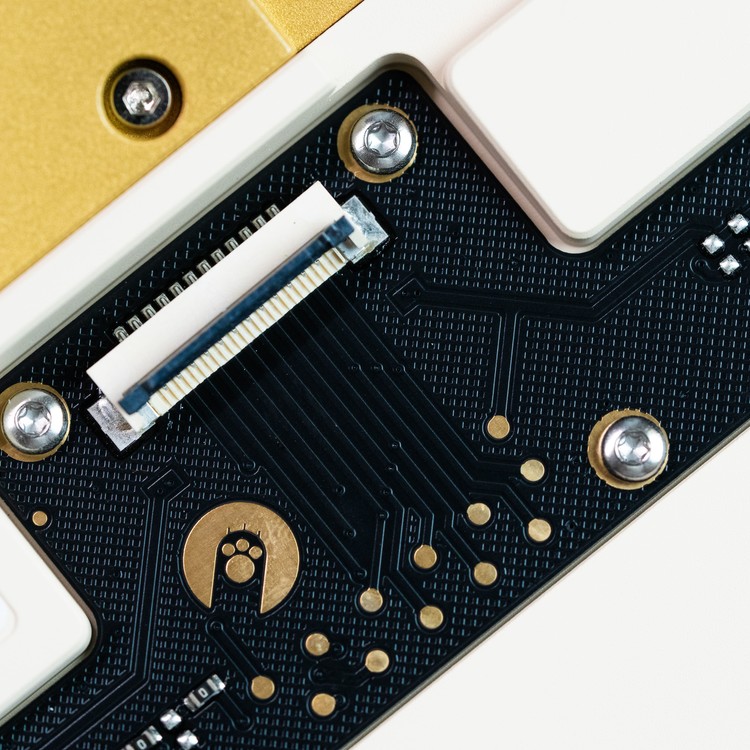 [Pre-order] AM Compact Touch R2 : 스웨그키 공식 온라인 스토어