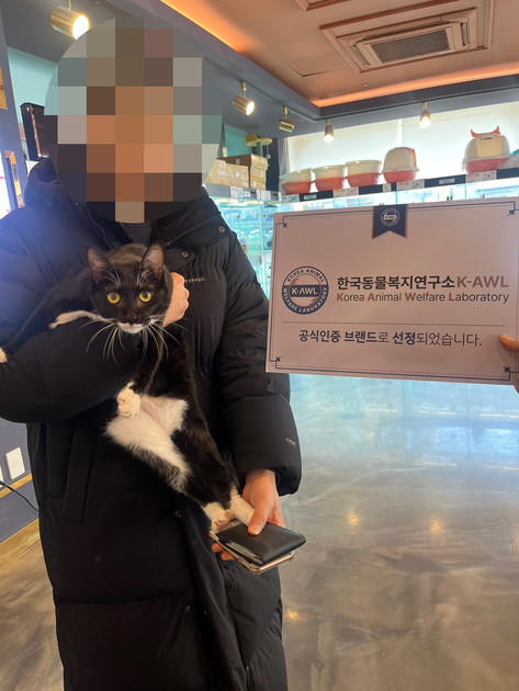 코리안숏헤어 페페 애완견성격 반려견성격 소형견크기 중형견크기 미니비숑프리제크기 토이푸들크기 골든리트리버크기 래브라도리트리버크기 닥스훈트크기 도베르만크기 말티치크기 말티폼크기