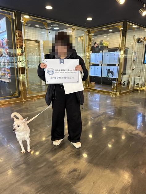 믹스견 소보루 프렌치불독크기 빠삐용크기 파피용크기 사모예드크기 스피츠크기 시바견크기 시베리안허스키크기 시츄크기 요크셔테리어크기