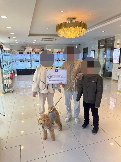 말티푸 배추 이탈리아그레이하운드입양 치와와입양 폼스키입양 폼치입양 폼피츠입양 푸숑입양 고양이입양 랙돌입양 러시안블루입양 먼치킨입양 브리티쉬숏헤어입양 노르웨이숲입양 뱅갈입양