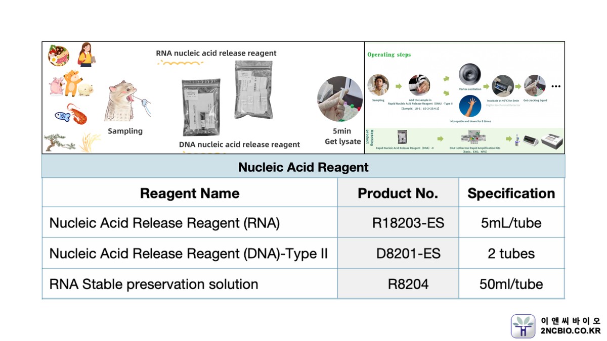 Rapid DNA/RNA Release Reagents for Multienzyme Isothermal Rapid ...