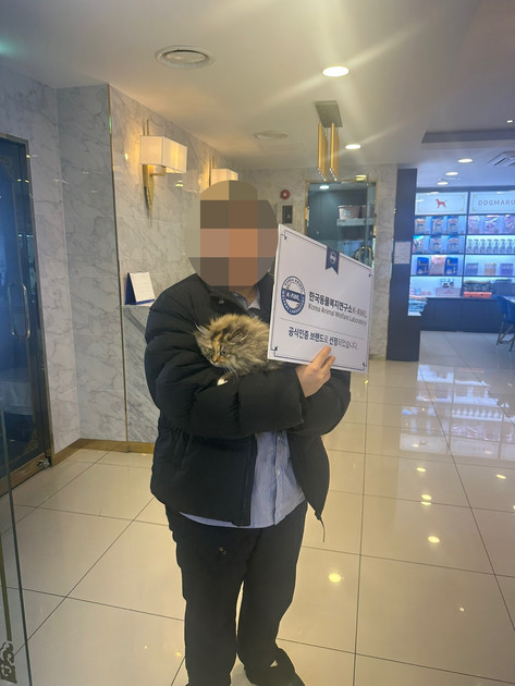 페르시안렉돌 초코 말티즈크기 말티푸크기 푸들크기 먼치킨크기 랙돌크기 브리티쉬숏헤어크기 스코티쉬폴드크기 러시안블루크기 강아지크기 고양이크기 유기견임시보호 유기묘임시보호