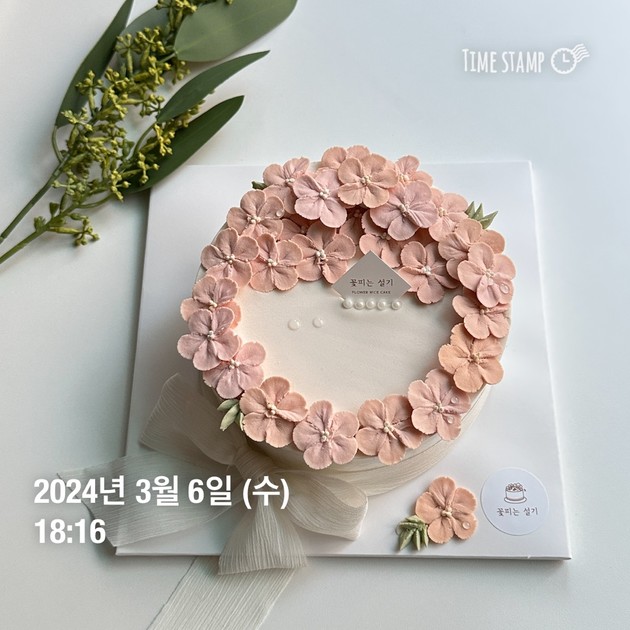 지니 : 한국케이크교육협회 아카데미