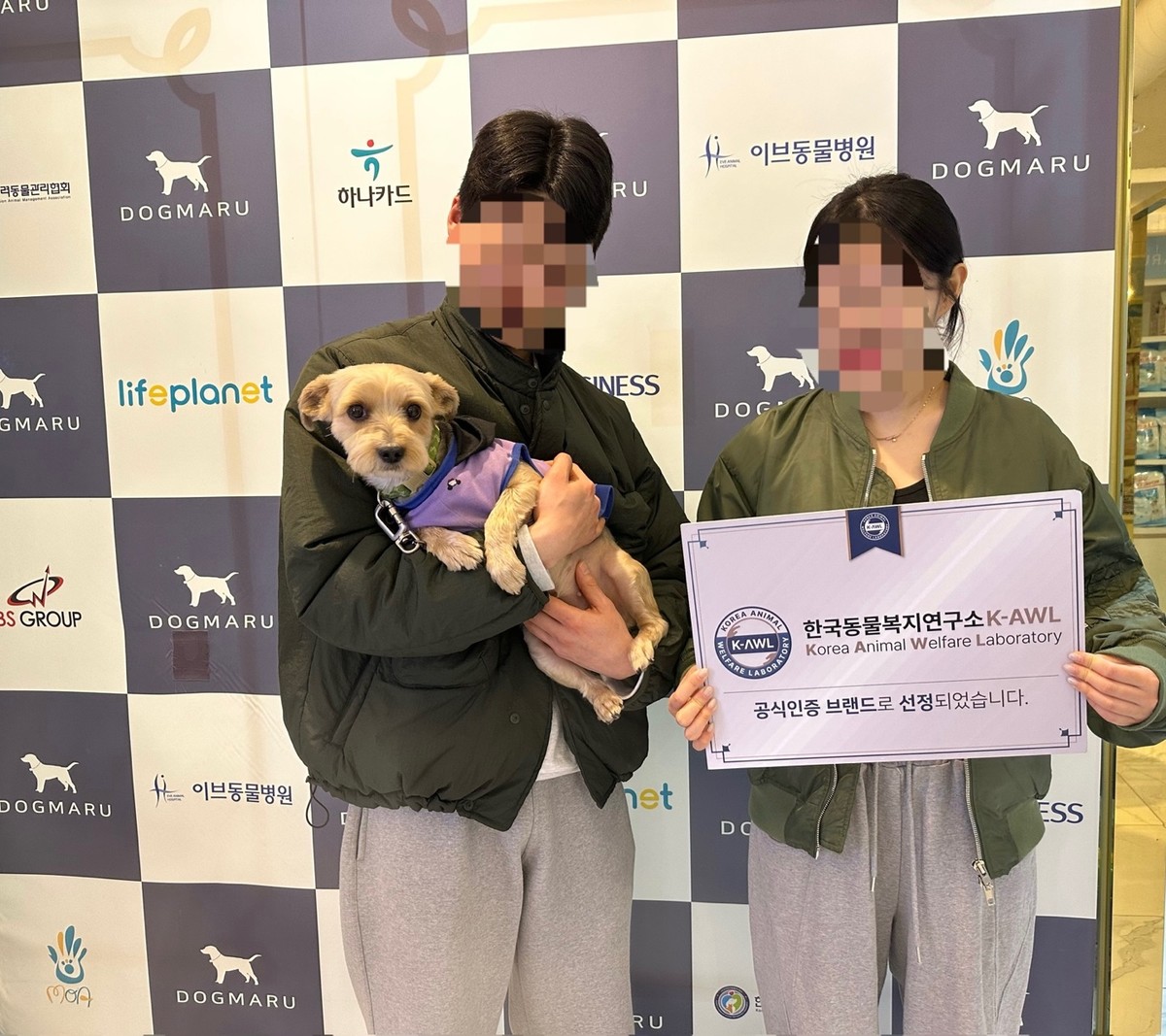 요크셔테리어 마루 말티즈크기 말티푸크기 푸들크기 먼치킨크기 랙돌크기 브리티쉬숏헤어크기 스코티쉬폴드크기 러시안블루크기 강아지크기 고양이크기 유기견임시보호 유기묘임시보호 강아지