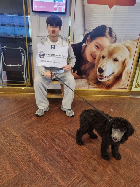 스탠다드 푸들 이빠 강아지책임분양 고양이책임분양 유기견책임분양 유기묘책임분양 연예인강아지분양하는곳 연예인고양이분양하는곳 골댕이무료분양 강아지입양보내기 고양이입양보내기 강아지