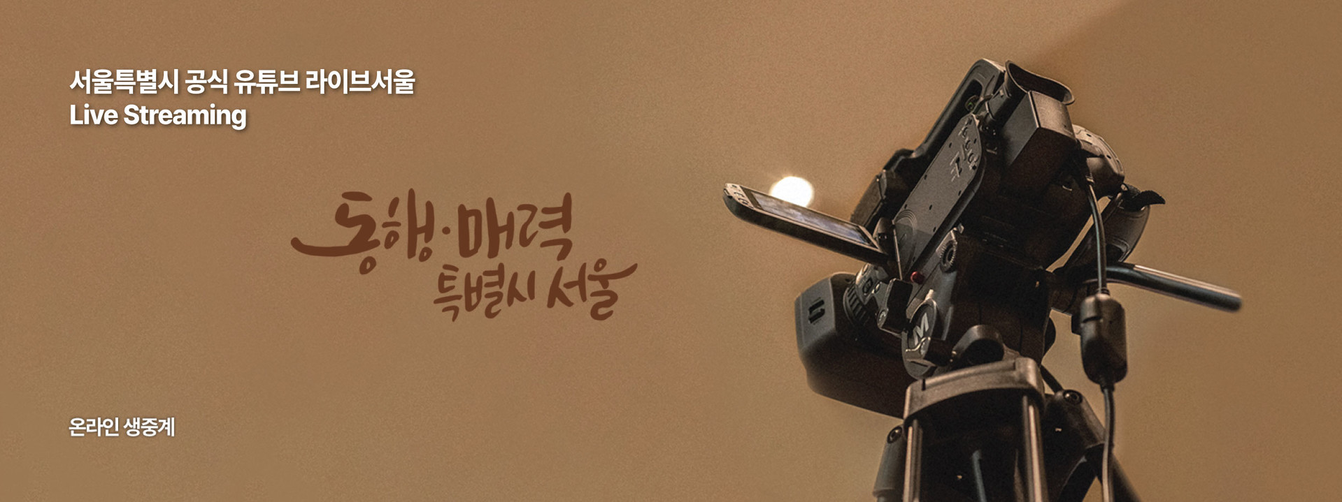 The Flick 주식회사 더플릭
