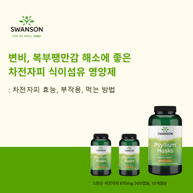 변비 복부 팽만감 해소에 좋은 차전자피 식이섬유 영양제 차전자피 효능 부작용 먹는 방법 스완슨 건강 정보 팁 스완슨 건강 정보 스완슨 영양제