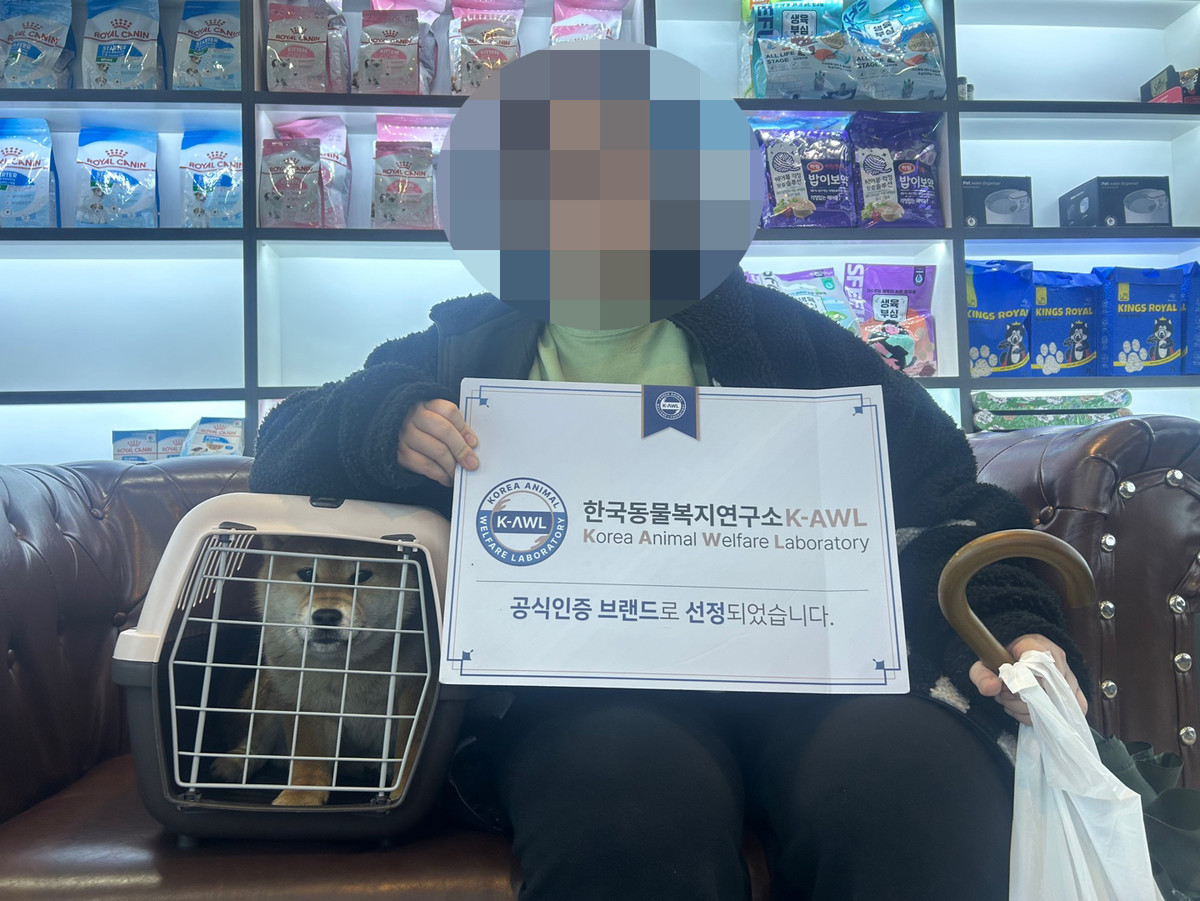 시바이누 일 닥스훈트무료입양사이트 도베르만무료입양사이트 말티치무료입양사이트 말티폼무료입양사이트 보더콜리무료입양사이트 프렌치불독무료입양사이트 빠삐용무료입양사이트 파피용무료입양