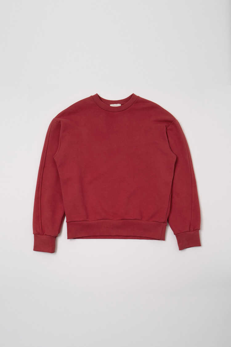 Back Logo Sweatshirt (Red) : sagehill