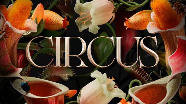 Circus Brand Video & Imagery Assets. : mg25