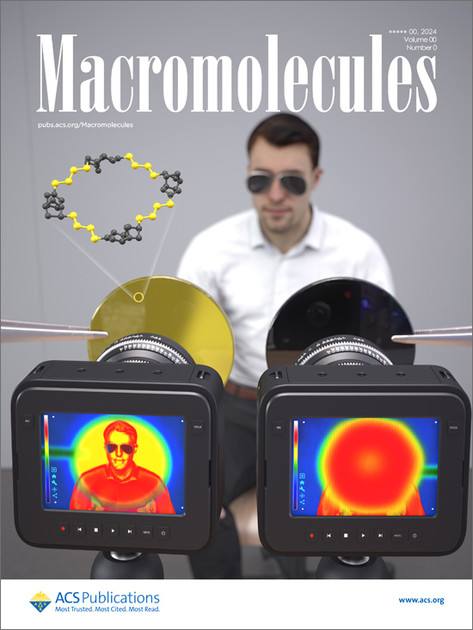 ACS_Macromolecules : Publishing News