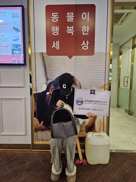 코리안숏헤어 루비 프렌치불독크기 빠삐용크기 파피용크기 사모예드크기 스피츠크기 시바견크기 시베리안허스키크기 시츄크기 요크셔테리어