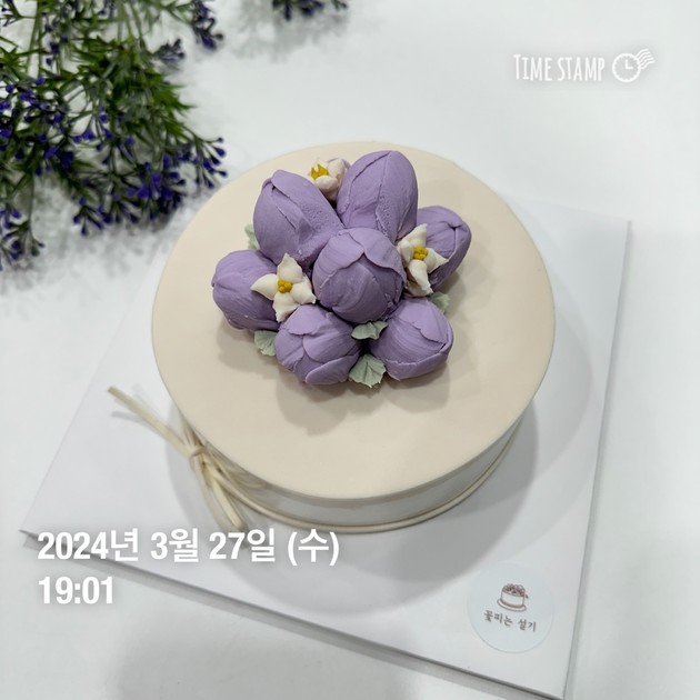 지니 : 한국케이크교육협회 아카데미