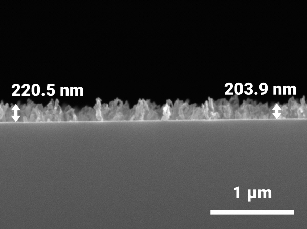 PR Ashing | 플라솔(주)