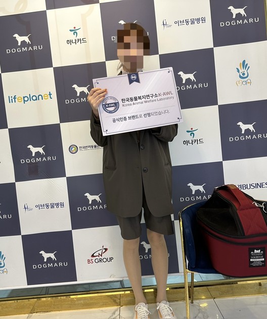 코리안숏헤어 황도 이탈리아그레이하운드입양 치와와입양 폼스키입양 폼치입양 폼피츠입양 푸숑입양 고양이입양 랙돌입양 러시안블루입양 먼치킨입양 브리티쉬숏헤어입양 노르웨이숲입양 뱅갈