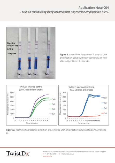 Focus on multiplexing using Recombinase Polymerase Amplification (RPA ...