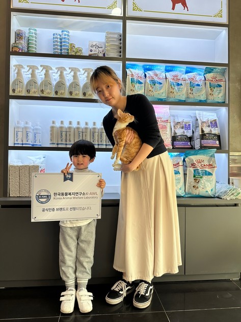 코리안숏헤어 아깽이 애완견성격 반려견성격 소형견크기 중형견크기 미니비숑프리제크기 토이푸들크기 골든리트리버크기 래브라도리트리버크기 닥스훈트크기 도베르만크기 말티치크기 말티폼