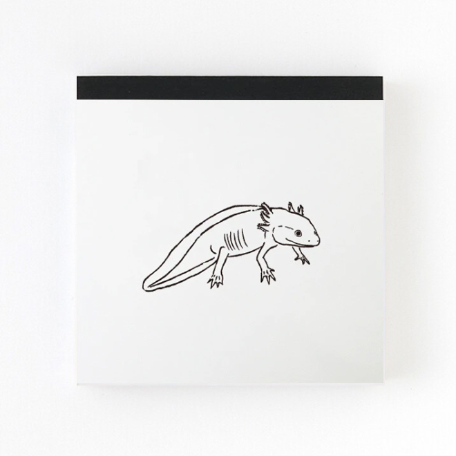 ANIMAL Memopad - Wooper Looper : Bella's Planner