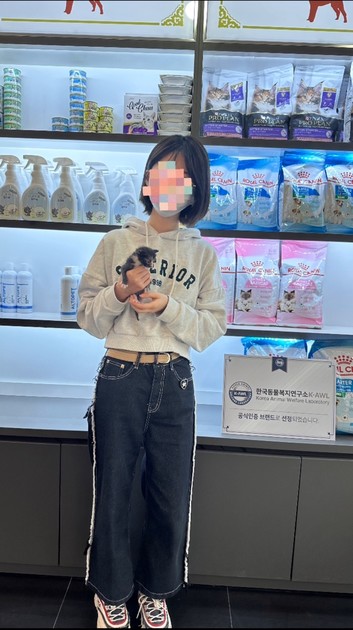 코리안숏헤어 뚜앙 말티즈크기 말티푸크기 푸들크기 먼치킨크기 랙돌크기 브리티쉬숏헤어크기 스코티쉬폴드크기 러시안블루크기 강아지크기 고양이크기 유기견임시보호 유기묘임시보호 강아지