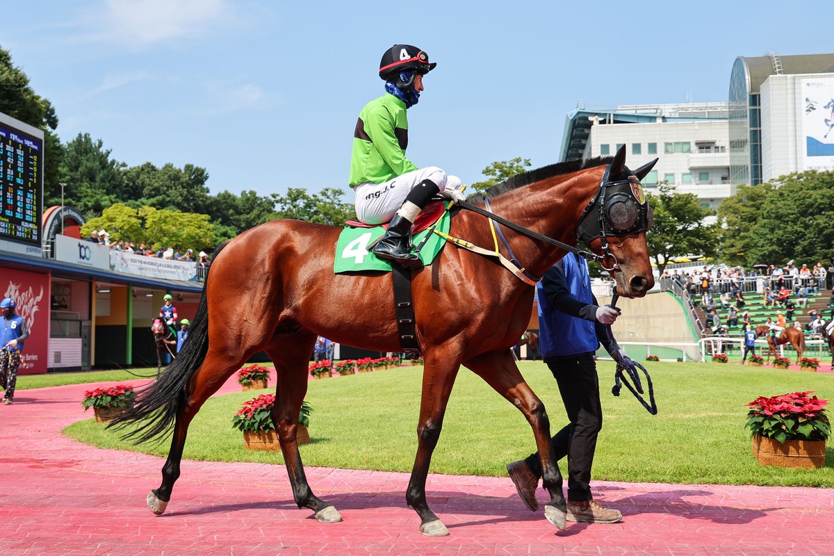 스프린터 시리즈 제2관문, 제32회 SBS스포츠 스프린트(G3) : 마사일호 트리플나인 뉴스