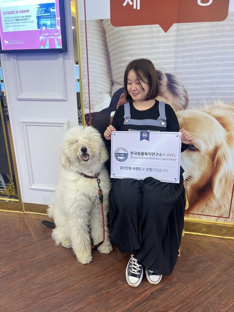 스댄다드푸들 팡이 사모예드책임분양 스피츠책임분양 시바견책임분양 시베리안허스키책임분양 시츄책임분양 요크셔테리어책임분양 웰시코기책임분양 이탈리아그레이하운드책임분양 치와와책임분양