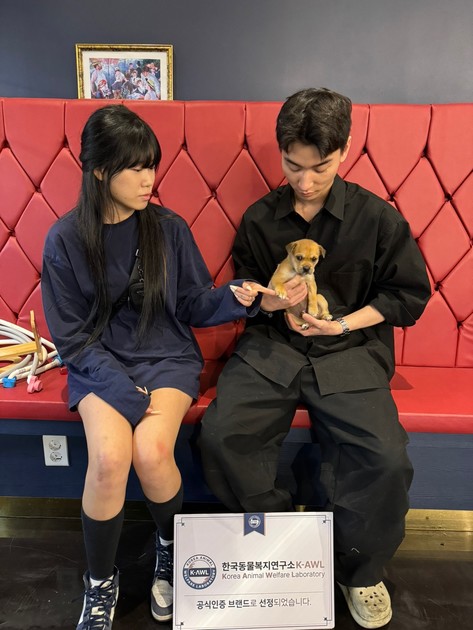 프렌치믹스 덕구 푸숑책임분양 노르웨이숲책임분양 데본렉스책임분양 뱅갈책임분양 샴책임분양 셀커크렉스책임분양 스핑크스책임분양 아메리칸숏헤어책임분양 아메리칸컬책임분양 아비시니안책임