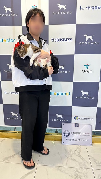 코리안숏헤어 하늘이 프렌치불독크기 빠삐용크기 파피용크기 사모예드크기 스피츠크기 시바견크기 시베리안허스키크기 시츄크기 요크셔테리어