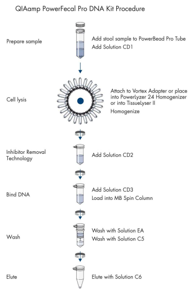 For the isolation of DNA from stool - QIAamp PowerFecal Pro DNA Kit ...