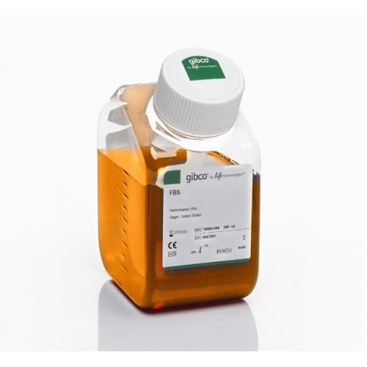 Diff quick stain Kit 500 mL : HLB바이오스텝 B2B MALL