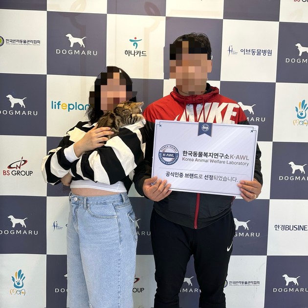 믹스묘 요정 고양이보호소 유기견보호소 유기묘보호소 비숑프리제책임분양 포메라니안책임분양 말티즈책임분양 말티푸책임분양 푸들책임분양 먼치킨책임분양 랙돌책임분양 브리티쉬숏헤어책임