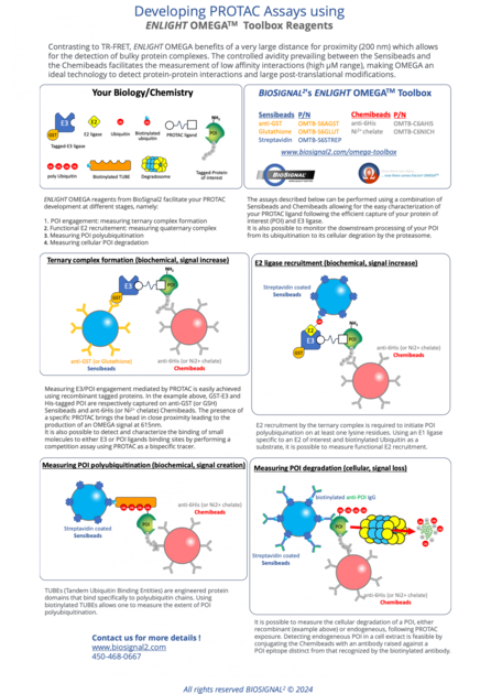 Developing PROTAC Assays using ENLIGHT OMEGA Toolbox Reagents ...