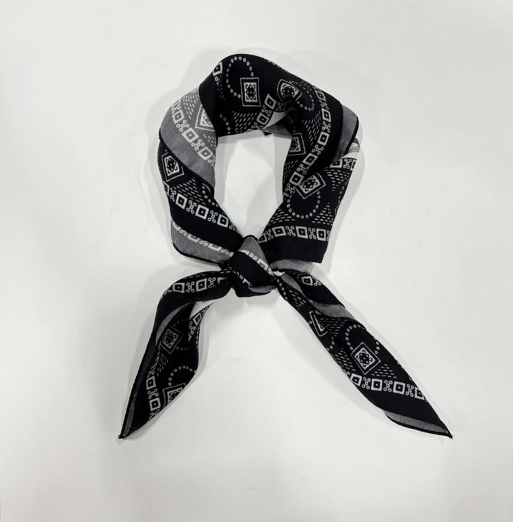 Toga Virilis Scarf : 미떼 (MTSH)