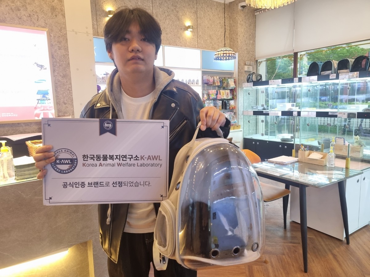 코리안숏헤어 딸기 샴입양 셀커크렉스입양 스코티쉬폴드입양 스핑크스입양 아메리칸숏헤어입양 아비시니안입양 터키시앙고라입양 페르시안입양 애완견입양 반려견입양 털빠짐없는소형견종류