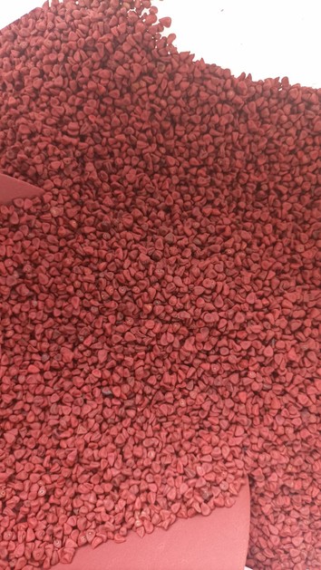 2024년 4월 20일 아나토 페루산 입고 (annatto / bixa / Bixa orellana) : 에스지상사(주)