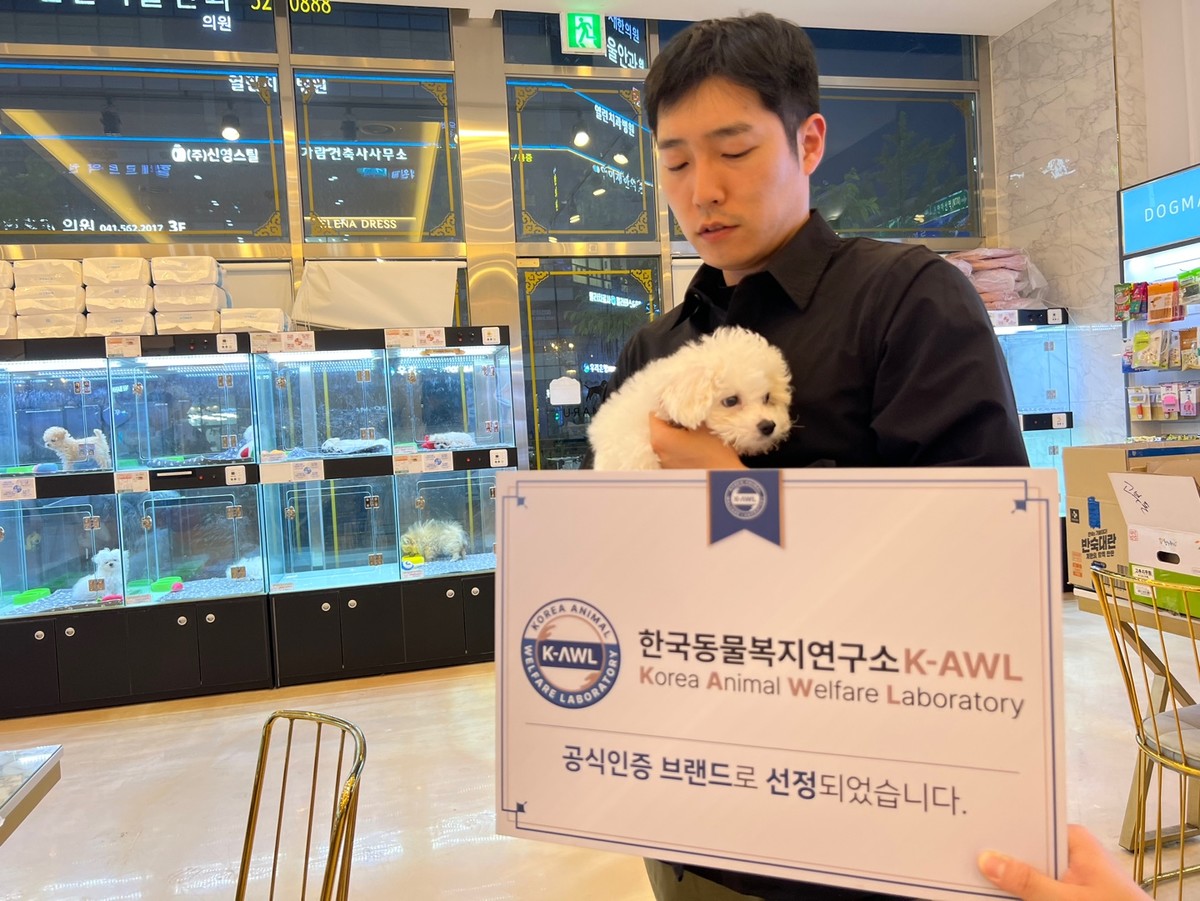 비숑프리제 난방 고양이보호소 유기견보호소 유기묘보호소 비숑프리제책임분양 포메라니안책임분양 말티즈책임분양 말티푸책임분양 푸들책임분양 먼치킨책임분양 랙돌책임분양 브리티쉬숏헤어