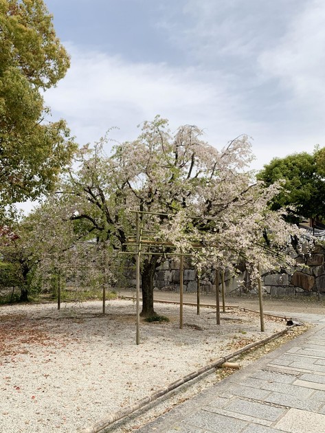 수풀 멤버들이 담은 봄의 한순간 🌸 : supul