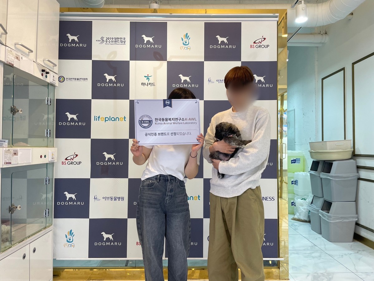 폼스키 연탄이 래브라도리트리버입양 닥스훈트입양 도베르만입양 말티치입양 말티폼입양 빠삐용입양 사모예드입양 스피츠입양 시바견입양 시베리안허스키입양 시츄입양 요크셔테리어입양