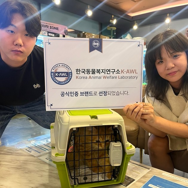 노르웨이숲 히로 애완견성격 반려견성격 소형견크기 중형견크기 미니비숑프리제크기 토이푸들크기 골든리트리버크기 래브라도리트리버크기 닥스훈트크기 도베르만크기 말티치크기 말티폼크기