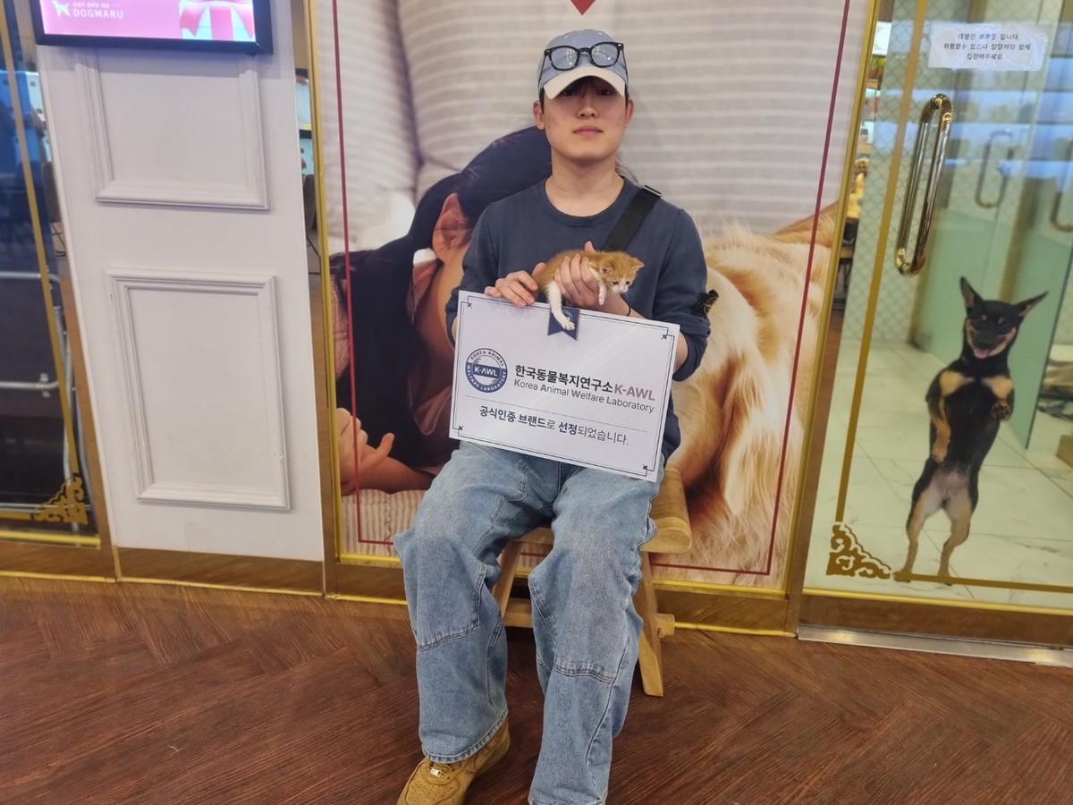 코리안숏헤어 히어로 미니먼치킨전문 미니랙돌전문 미니브리티쉬숏헤어전문 미니스코티쉬폴드전문 미니러시안블루전문 미니강아지전문 미니고양이전문 토이비숑프리제분양 토이포메라니안분양