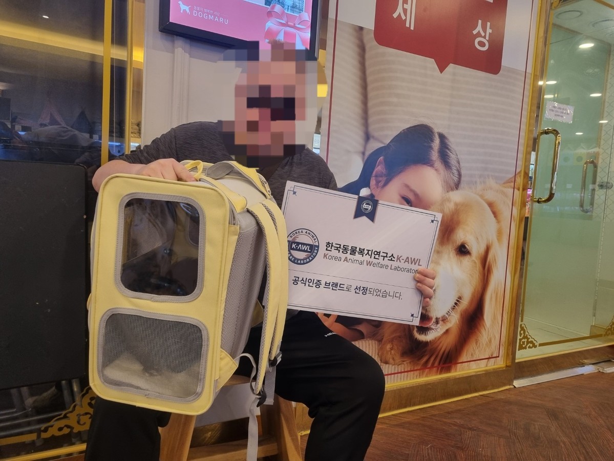 코리안숏헤어 턱시도 토이랙돌분양 토이브리티쉬숏헤어분양 토이스코티쉬폴드분양 토이러시안블루분양 토이강아지분양 토이고양이분양 토이비숑프리제입양 토이포메라니안입양 토이말티즈입양