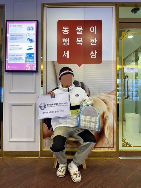 브리티쉬숏헤어 팜이 비숑프리제무료입양사이트 포메라니안무료입양사이트 말티즈무료입양사이트 말티푸무료입양사이트 푸들무료입양사이트 먼치킨무료입양사이트 랙돌무료입양사이트 브리티쉬숏