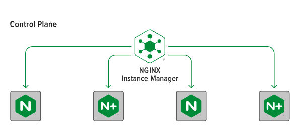 NMS - Instance Manager - 기본 기능 : NGINX MANAGEMENT SUITE