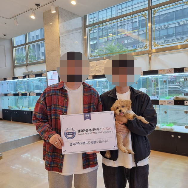 말티푸 뭉치 이탈리아그레이하운드입양 치와와입양 폼스키입양 폼치입양 폼피츠입양 푸숑입양 고양이입양 랙돌입양 러시안블루입양 먼치킨입양 브리티쉬숏헤어입양 노르웨이숲입양 뱅갈입양