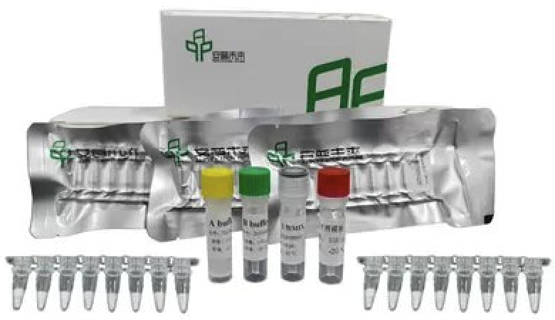 MIRA/RPA Kits : MIRAmp DNA/RNA(RT) Basic, Exo, NFO Kits ≒ TwistAmp ...