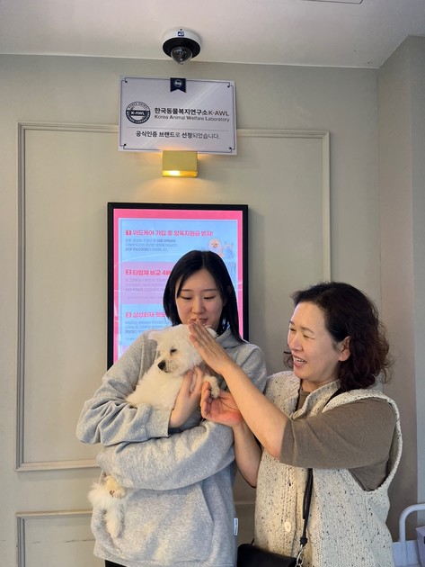 말티즈 몰리 폼스키크기 폼치크기 폼피츠크기 푸숑크기 노르웨이숲크기 데본렉스크기 뱅갈크기 샴크기 셀커크렉스크기 스핑크스크기 아메리칸숏헤어크기 아메리칸컬크기 아비시니안크기