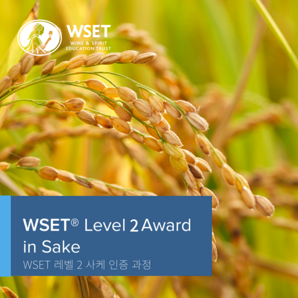 와인비전 아카데미 | WSET, CMS, WSG 인증