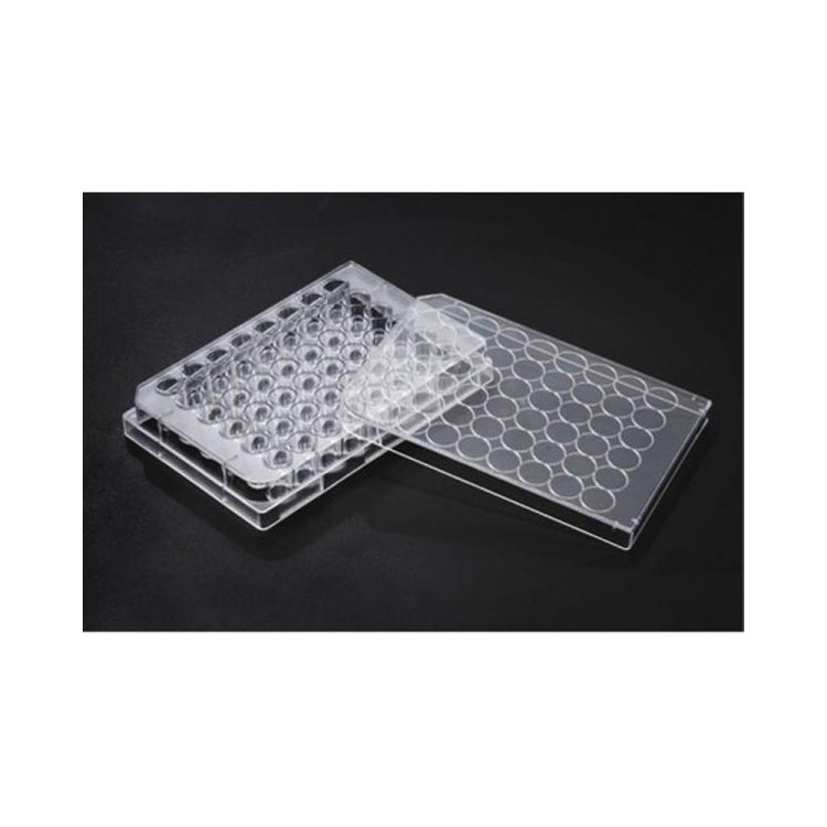 48 well plate 50/cs : HLB바이오스텝 B2B MALL